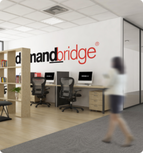 About DemandBridge: Empowering Distributors and Enterprises