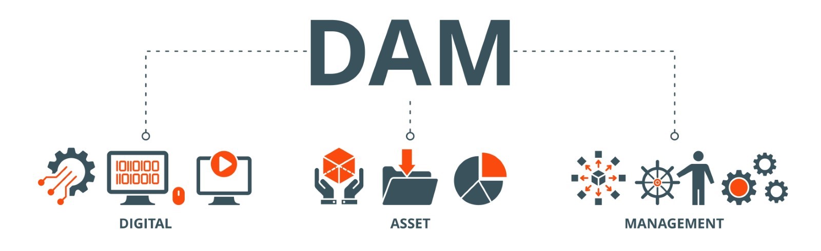 How to Choose the Right DAM Software in 2025